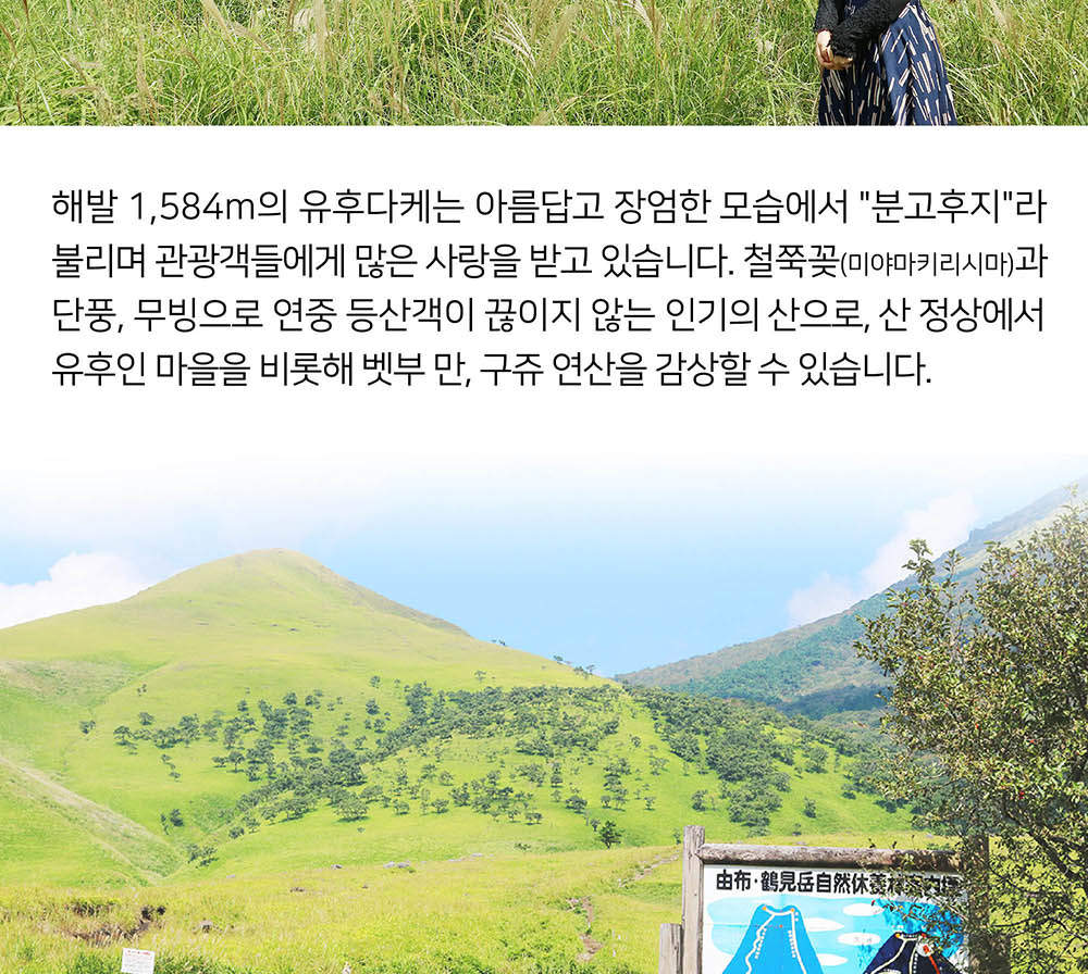 유후인 And 유후다케 And 벳부 유노하나 And 가마도지옥 일일 버스투어 한국어 가이드 후쿠오카 출발 클룩 Klook 한국